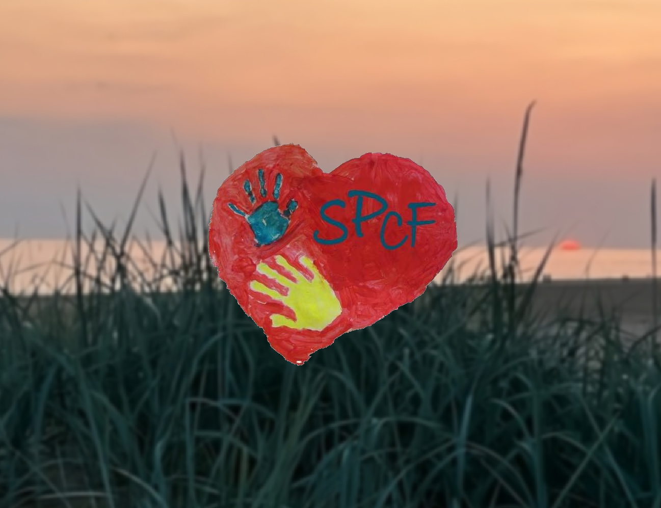 Sefton Parent Carer Forum | Sefton Support Group